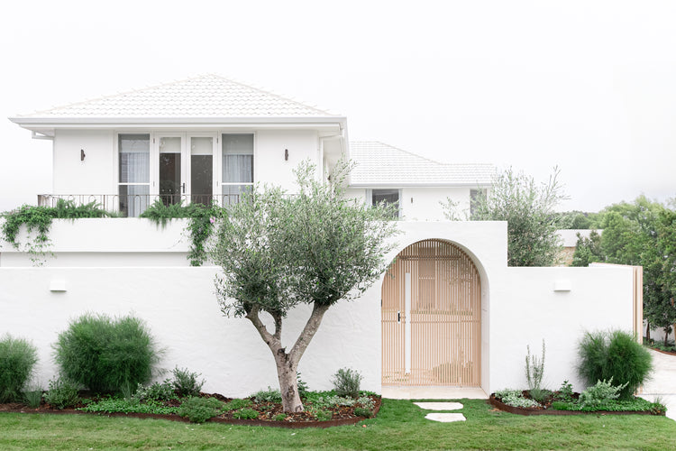 Evergreen Canopy Trees Australia | Shade Trees Brisbane